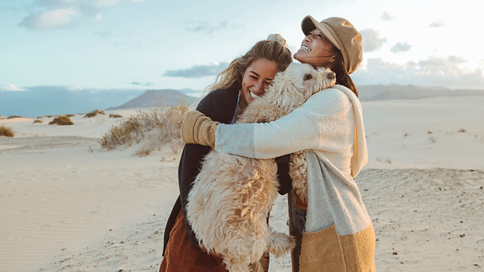 Insurance - CommBank