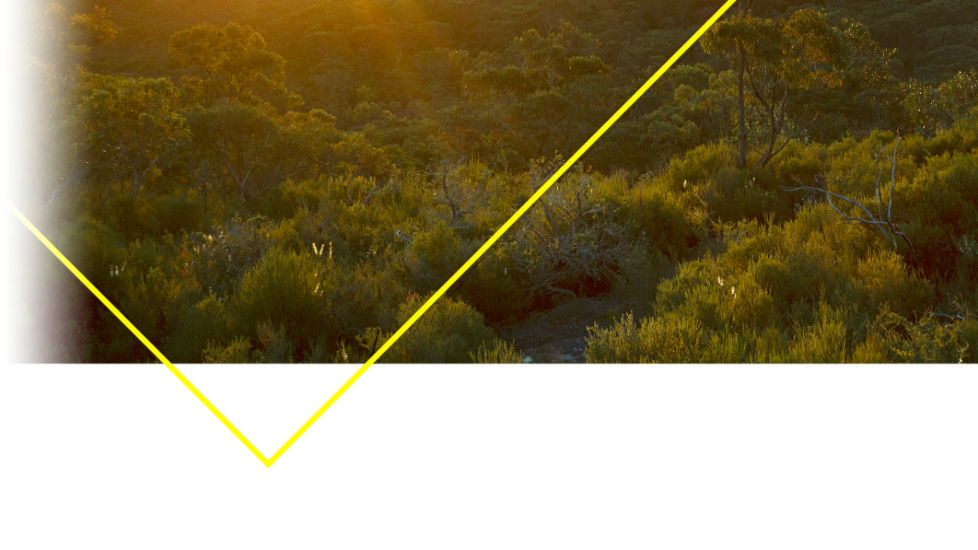 2024 Climate Report - CommBank