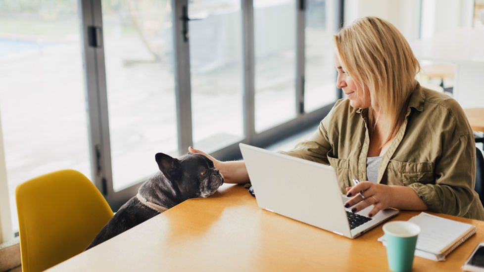 Financial hardship support for your business