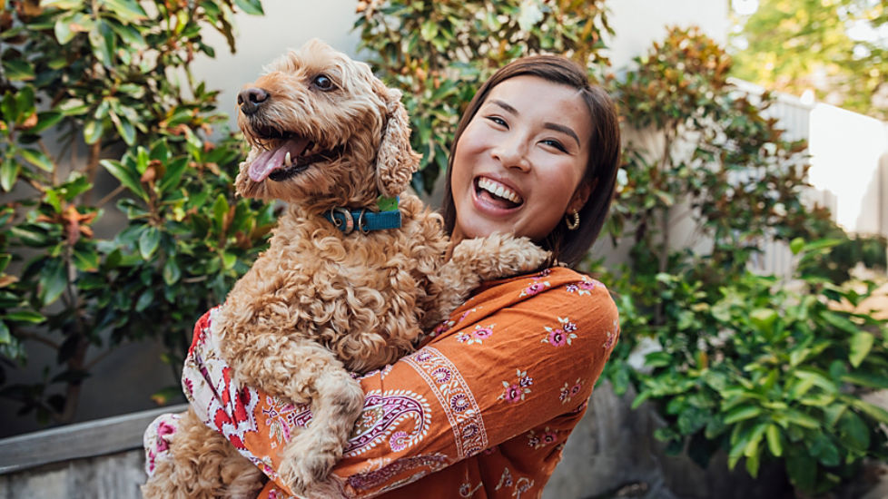 Pet insurance - CommBank